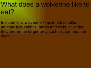 Wolverine | PPT
