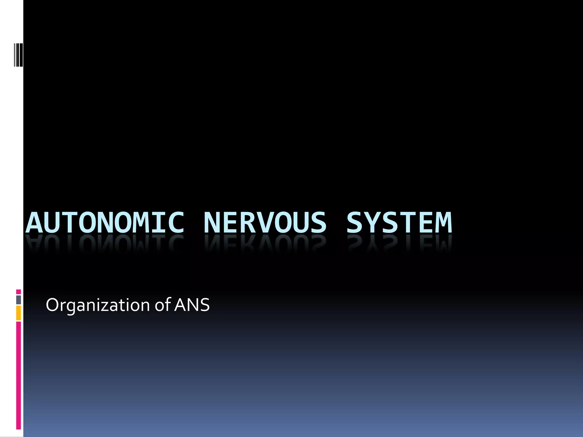 Ans(organization , subdivision and innervations) | PPTX