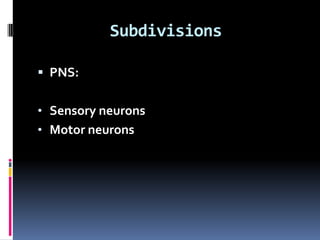 Ans(organization , subdivision and innervations) | PPTX