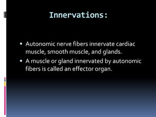 Ans(organization , subdivision and innervations) | PPTX