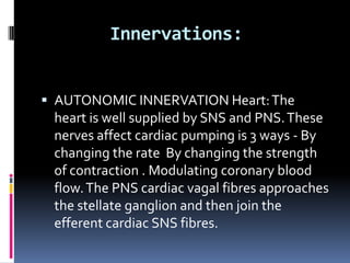 Ans(organization , subdivision and innervations) | PPTX