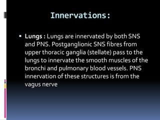 Ans(organization , subdivision and innervations) | PPTX