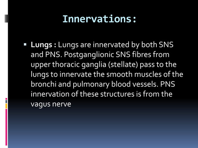 Ans(organization , subdivision and innervations) | PPTX