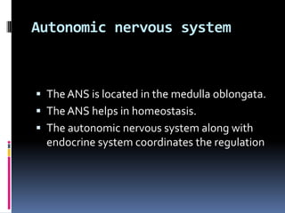 Ans(organization , subdivision and innervations) | PPTX