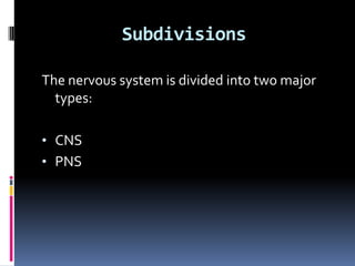 Ans(organization , subdivision and innervations) | PPTX