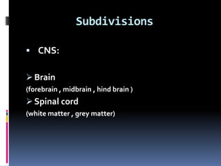 Ans(organization , subdivision and innervations) | PPTX