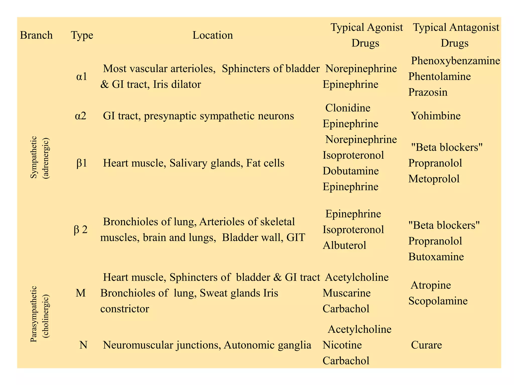Ans pharmacology | PPTX