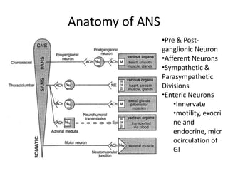 Ans pharmacology | PPTX