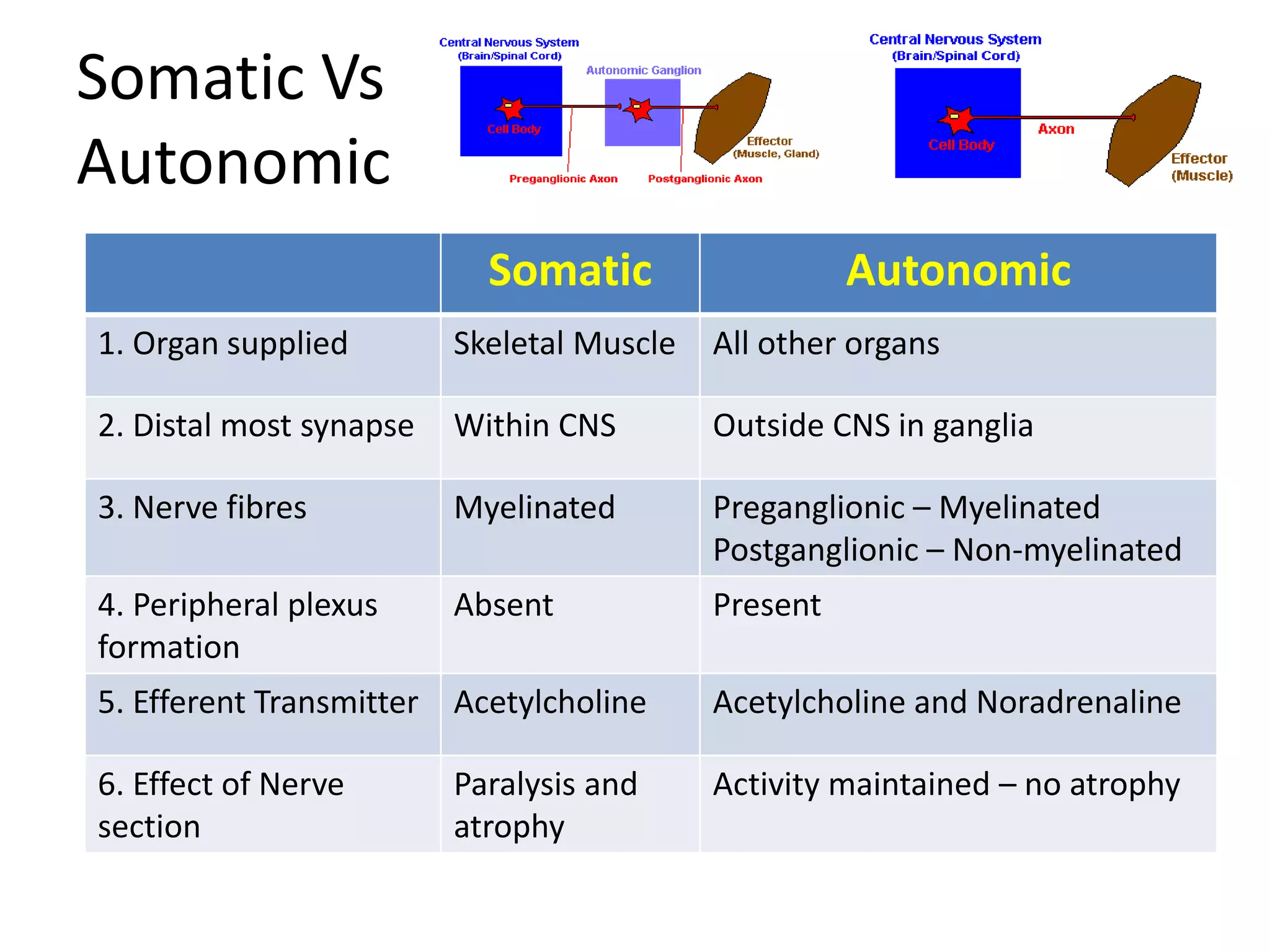 Autonomic Nervous System Pharmacology and Cholinergics (updated 2016 ...