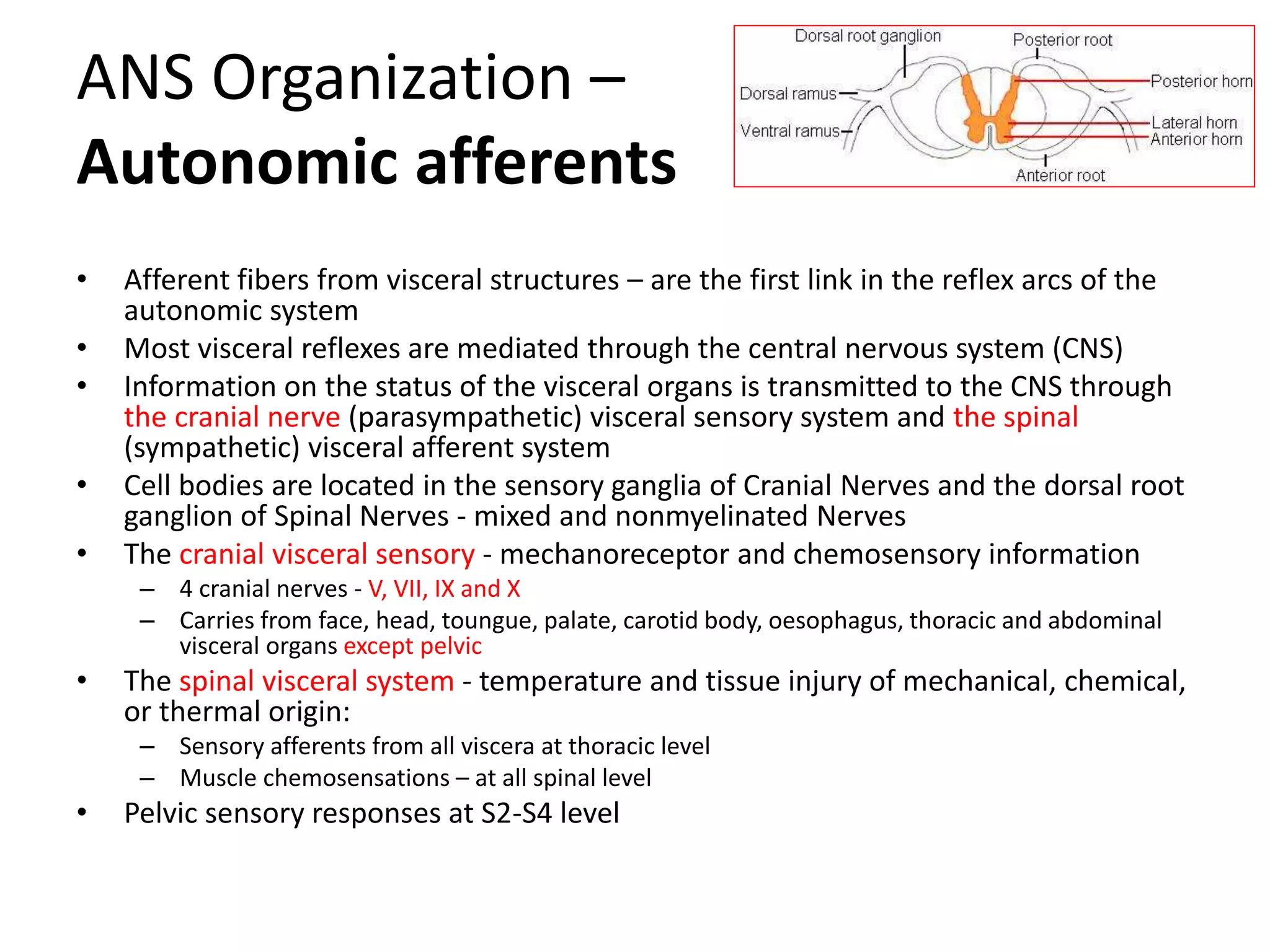 Autonomic Nervous System Pharmacology and Cholinergics (updated 2016 ...