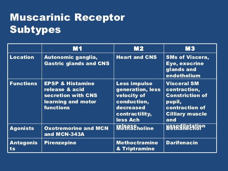 Autonomic Nervous System Pharmacology and Cholinergics (updated 2011)…
