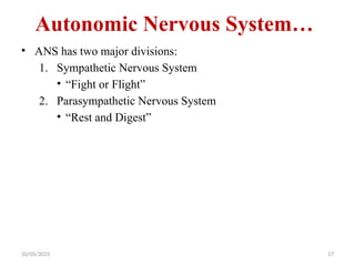 Automatic nerve system 1 physiology.pptx