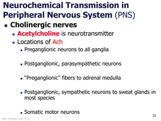 Autonomic Nervous System Physiology and Pharmacology_Overview| Review ...