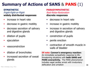 Autonomic Nervous System Physiology and Pharmacology_Overview| Review ...