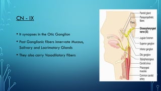 ANS Physiology and Receptors in brief.pptx