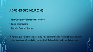 ANS Physiology and Receptors in brief.pptx