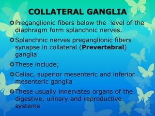 AUTONOMIC NERVOUS SYSTEM (Human Physiology) | PPT