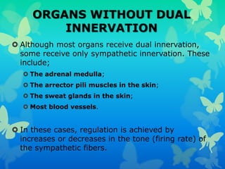 AUTONOMIC NERVOUS SYSTEM (Human Physiology) | PPT