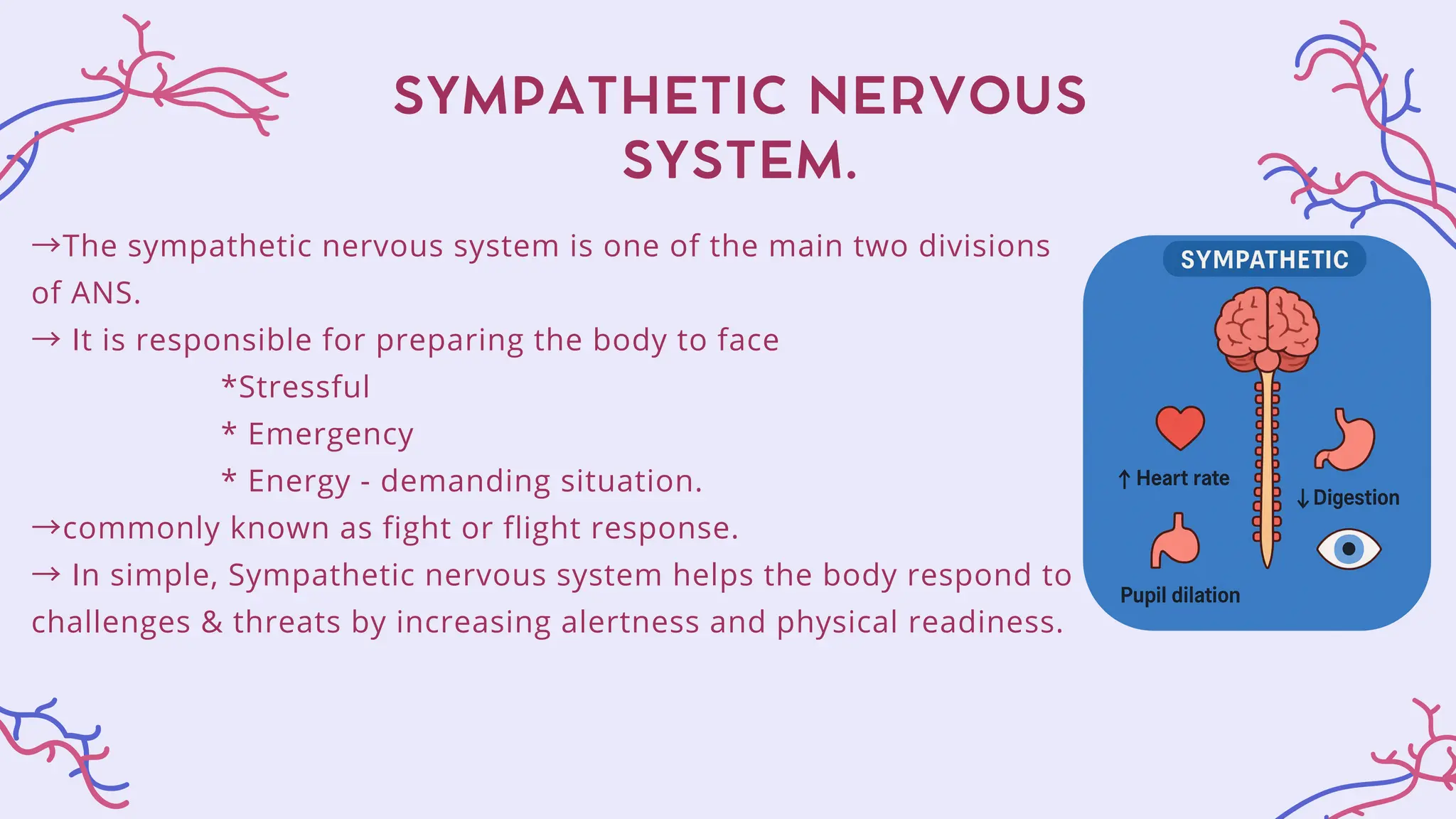 ANS Presentation BY PRIYANKA &EMELDA.pdf
