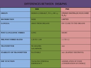 Somatic Vs Autonomic Nervous System