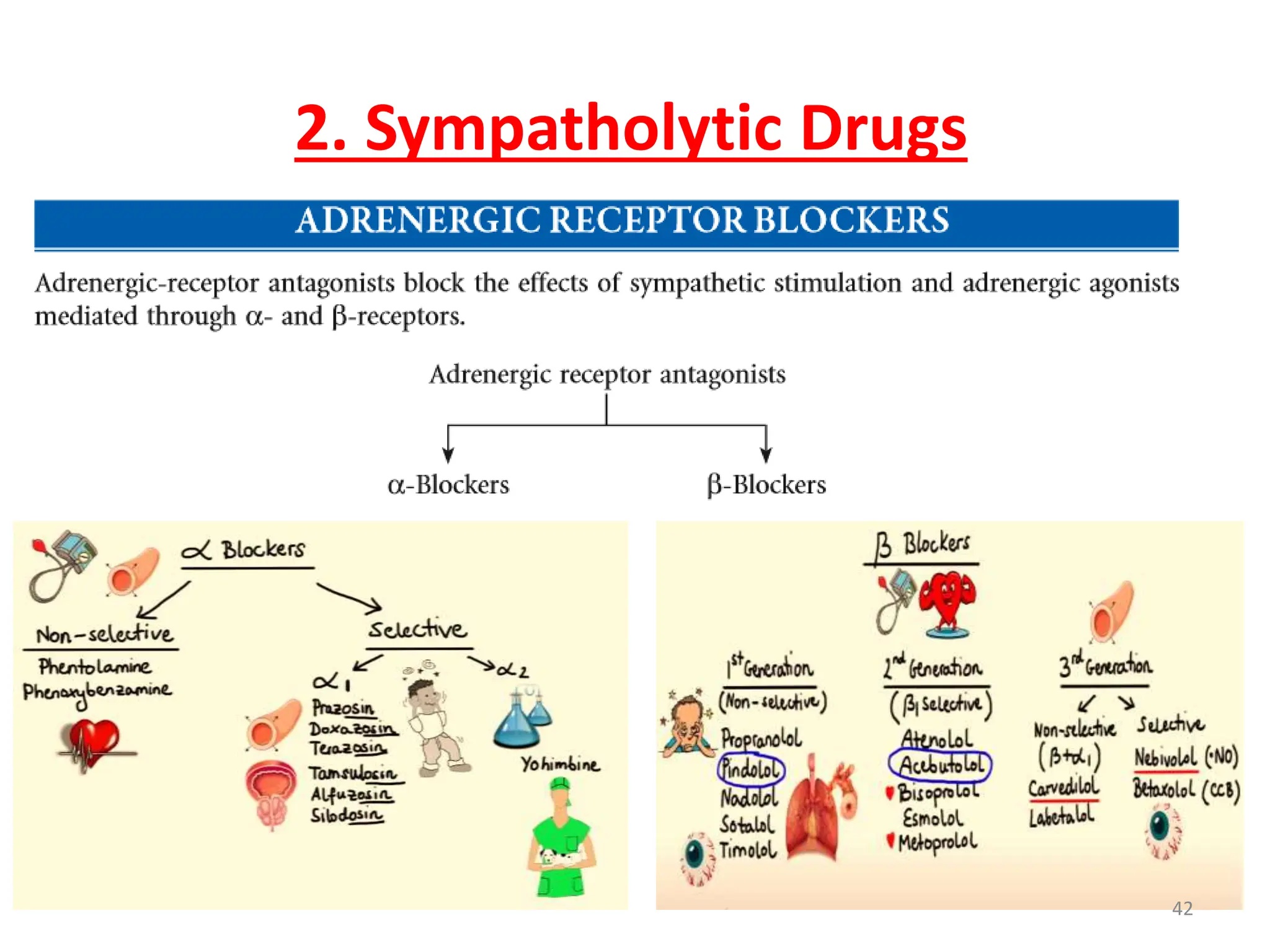 ANS (Sympathetic & Para-Sympathetic Drugs) By; Baqir Naqvi.pptx