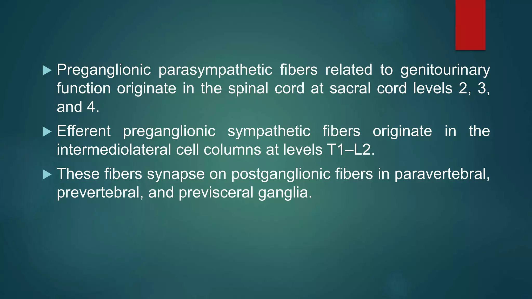 Autonomic nervous system testing arfa sulthana | PPTX