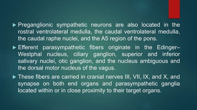 Autonomic nervous system testing arfa sulthana | PPT