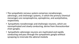 AUTONOMIC NERVOUS SYSTEM HISTORY AND EXAMINATION | PPTX
