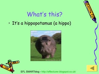 Answer whats this - animals gifs | PPT