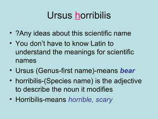 Answerclassification | PPT