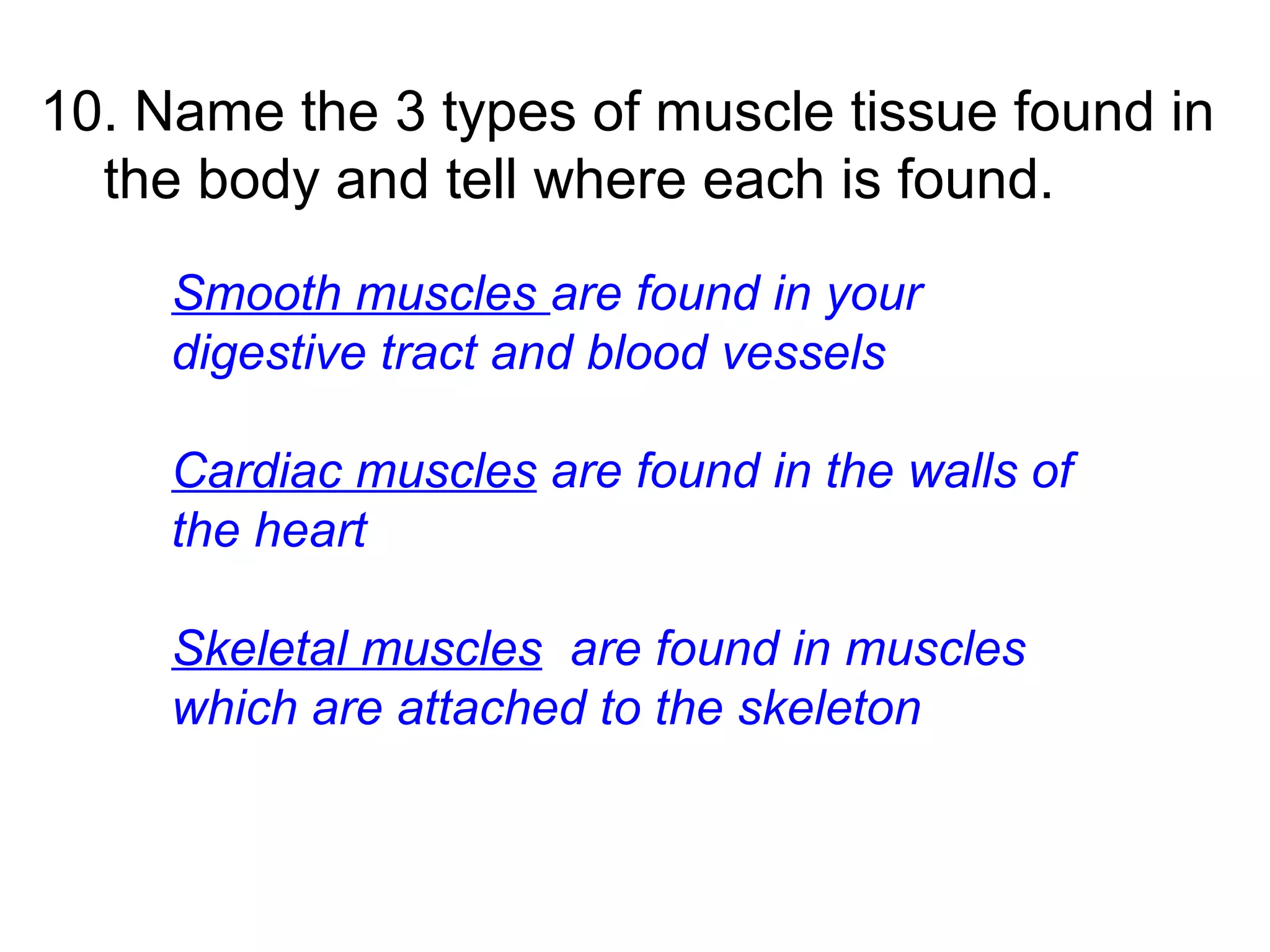Human Body Systems Test Review | PPT