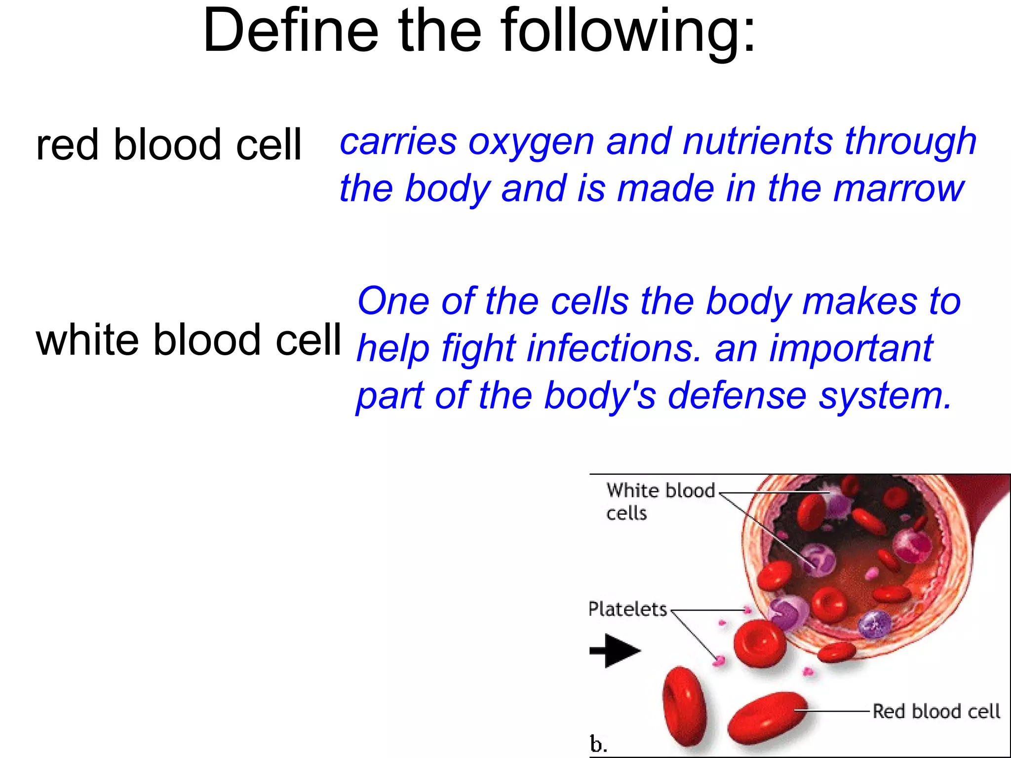 Human Body Systems Test Review | PPT