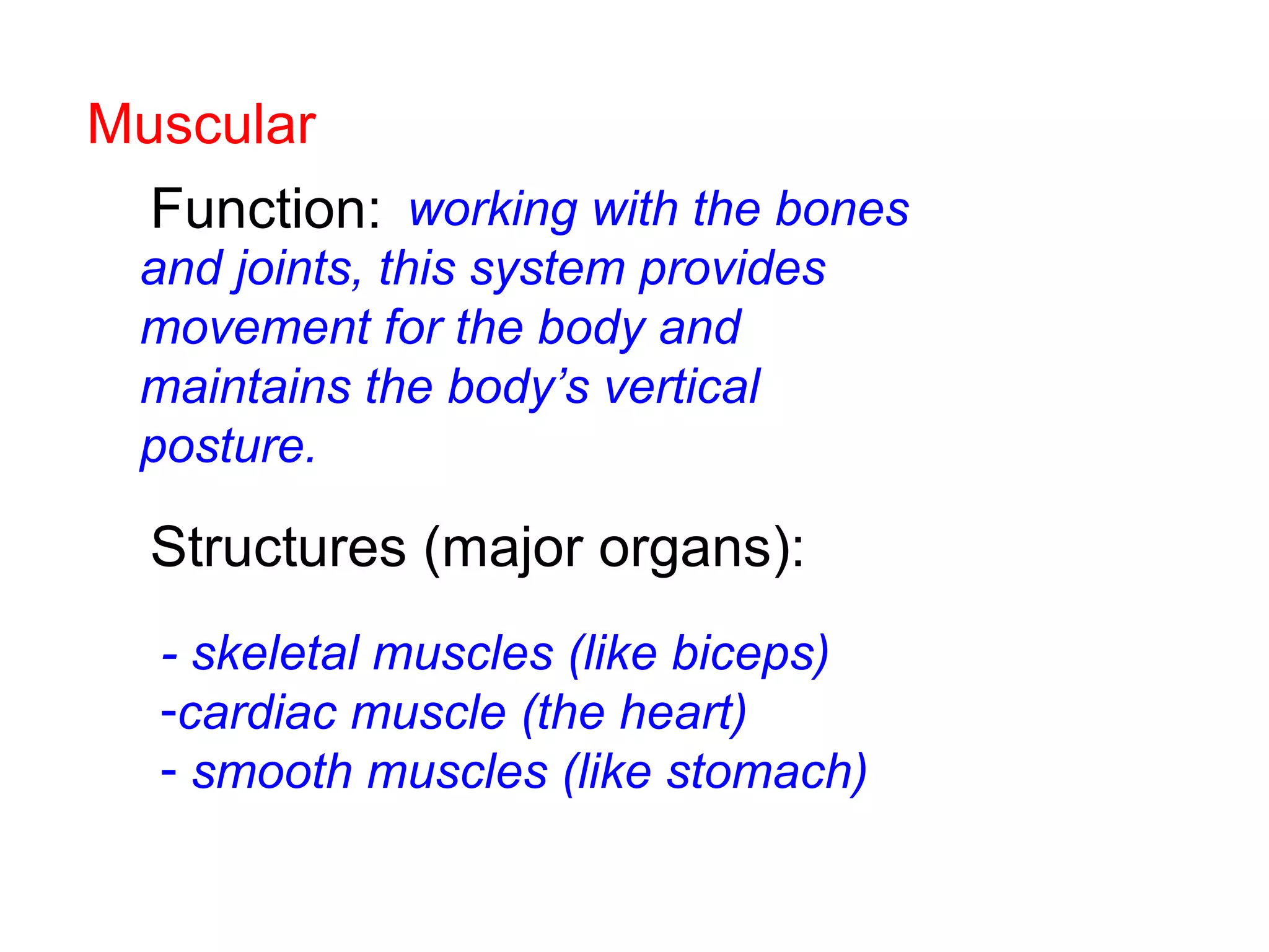 Human Body Systems Test Review | PPT