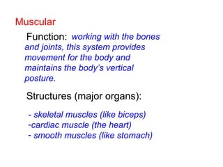 Human Body Systems Test Review | PPT