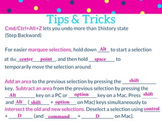 Answer Key to Guided Notes on Selection Tools in Photoshop CC | PDF