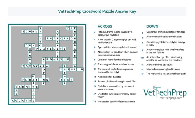 Vet Tech February 2016 Crossword Puzzle Answers | PPT