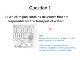 Answers to biology exercise | PPT