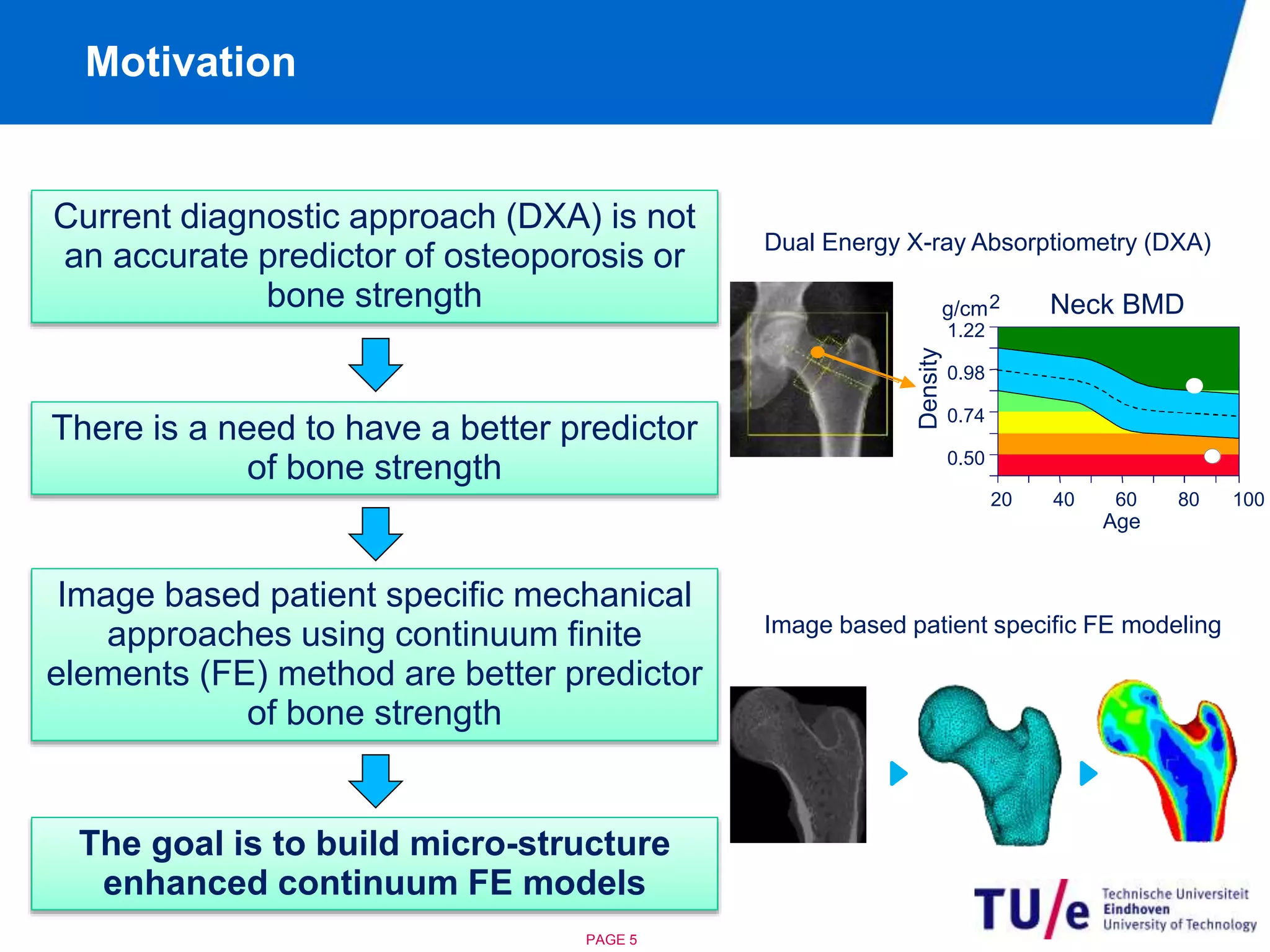 ANSYS USERMAT for Prediction of Bone Failure | PPTX