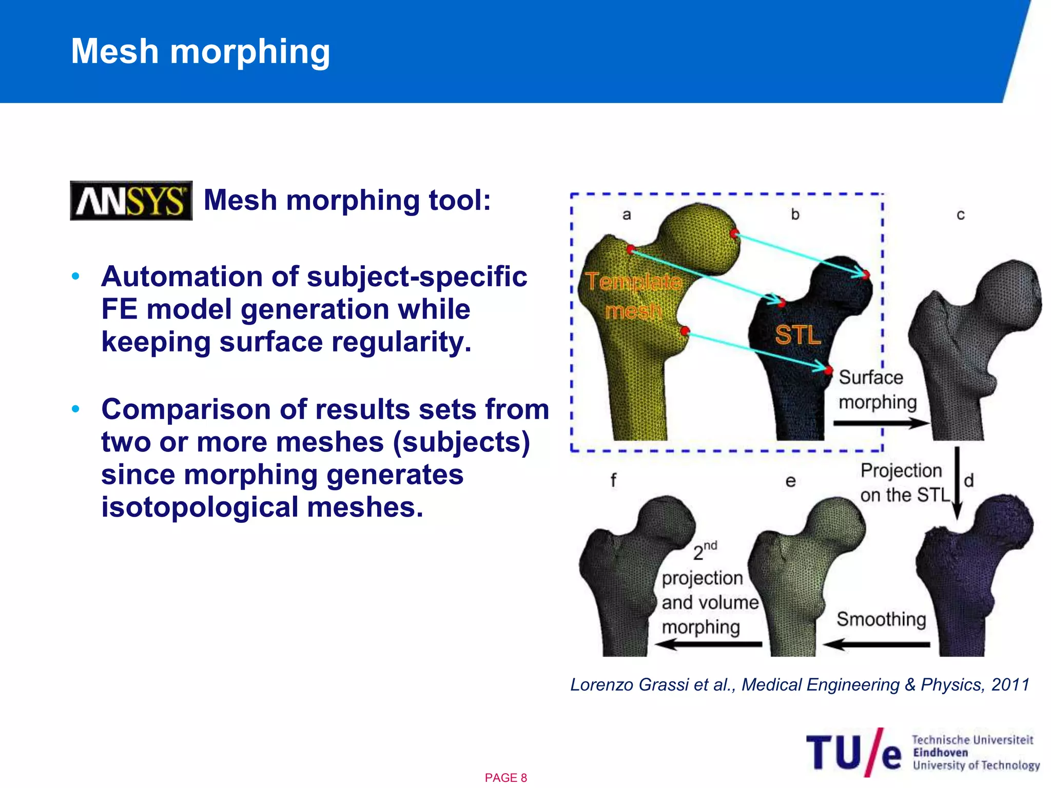 ANSYS USERMAT for Prediction of Bone Failure | PPTX