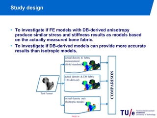 ANSYS USERMAT for Prediction of Bone Failure | PPT