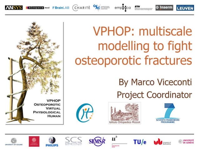 ANSYS USERMAT for Prediction of Bone Failure | PPT