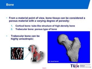 ANSYS USERMAT for Prediction of Bone Failure | PPT
