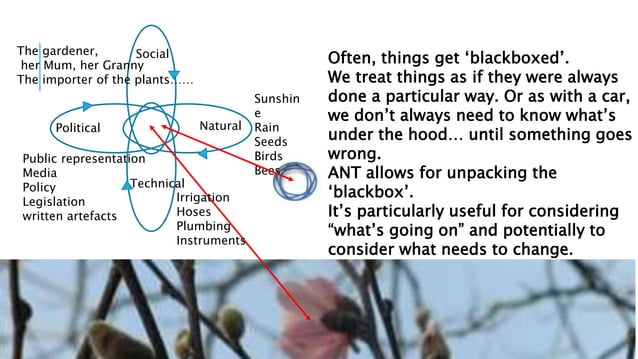Actor-network theory (ANT) an introduction | PPTX