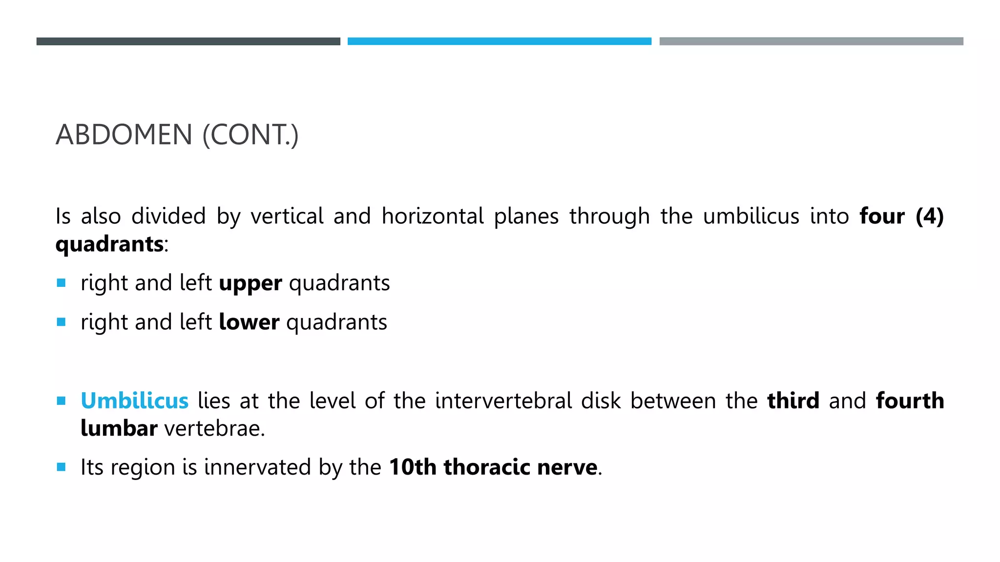 Ant. ABDOMINAL WALL.pptx