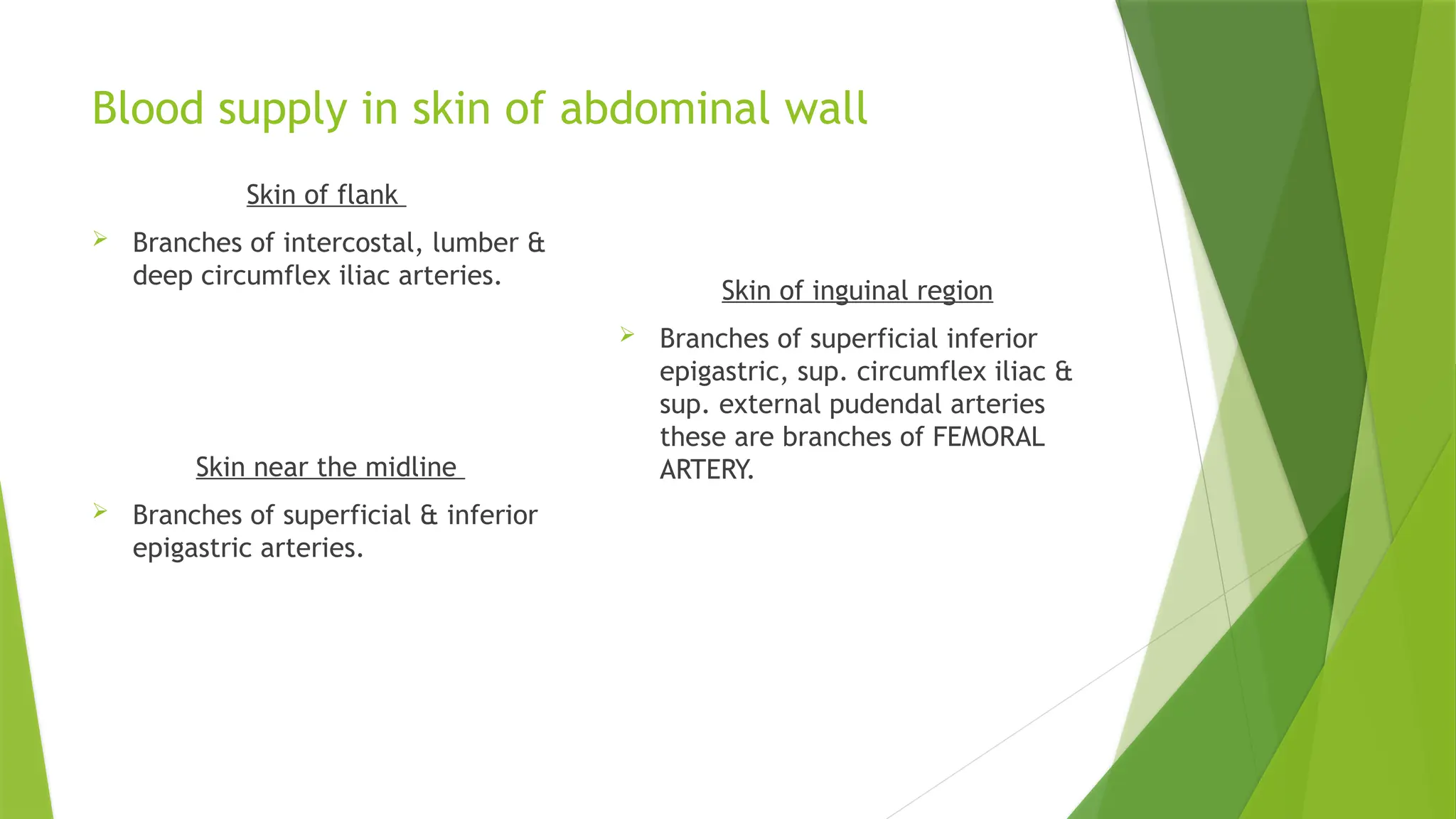 Ant. abdominal wall (3) anatomy pptsupdated | PPT