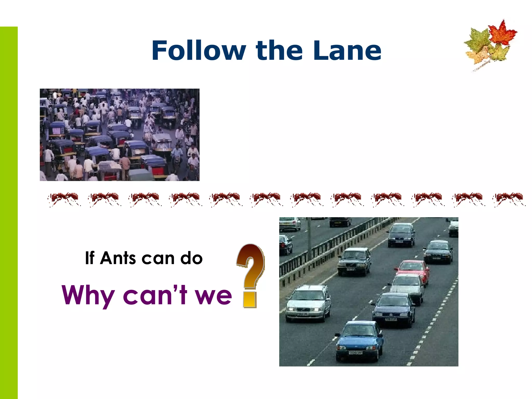 Attributes of Ant and We | PPT