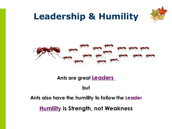 Attributes of Ant and We
