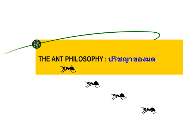ANT Philosophy | PPS