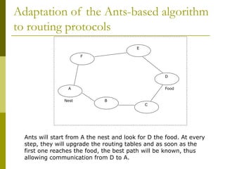 ANT-presentation.ppt