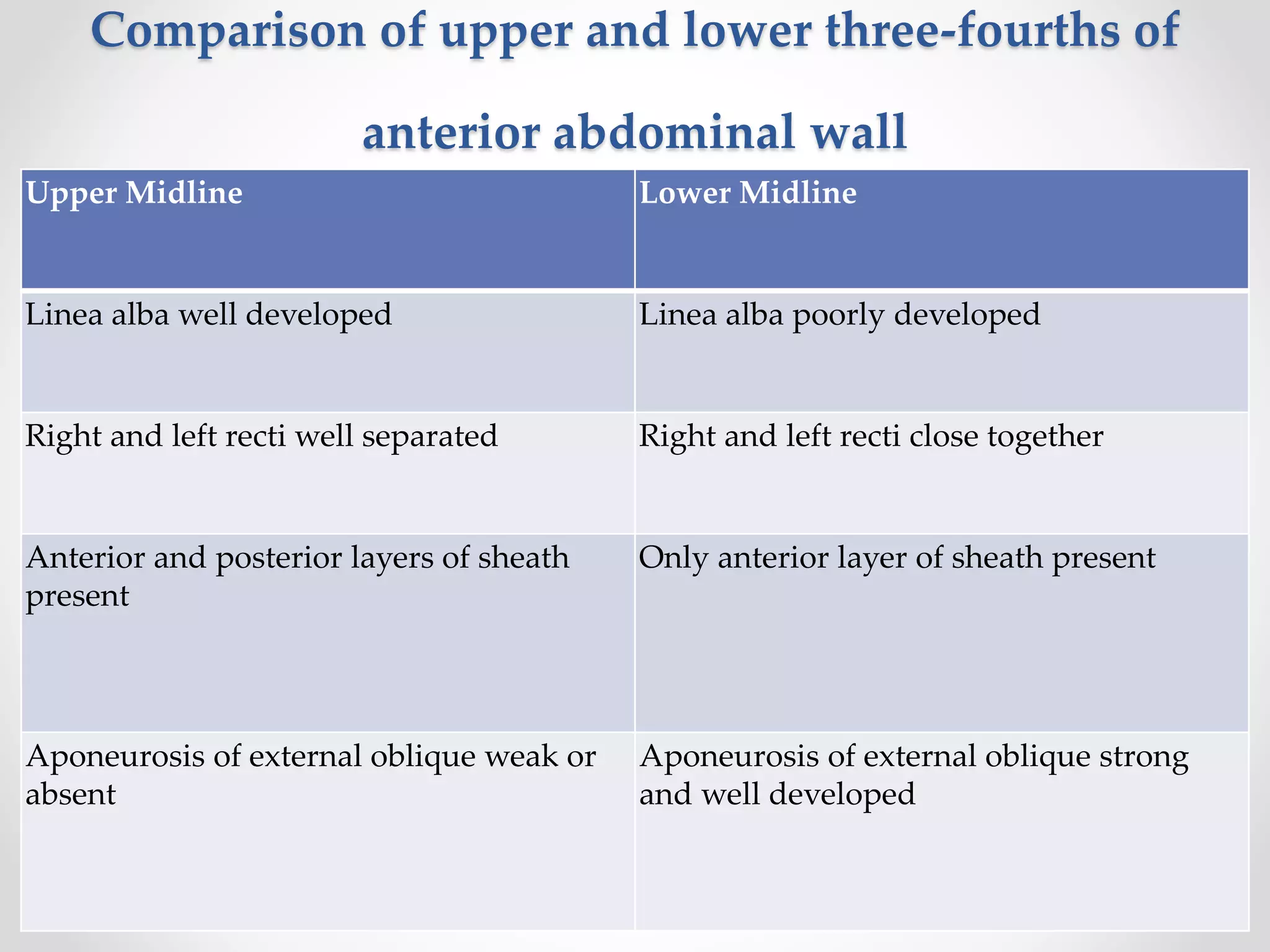 Surgical Anatomy of anterior abdominal wall | PPTX